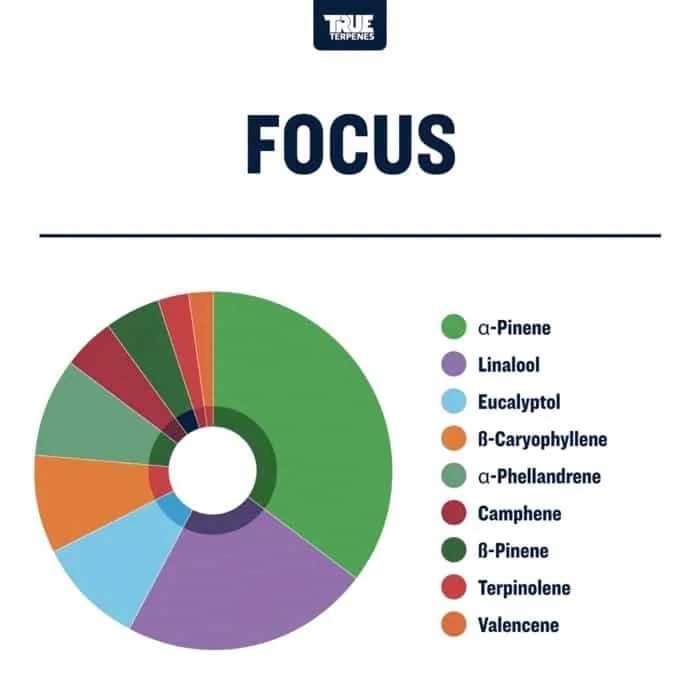 True Terpenes Terpology® Focus (5 мл - 960 мл)