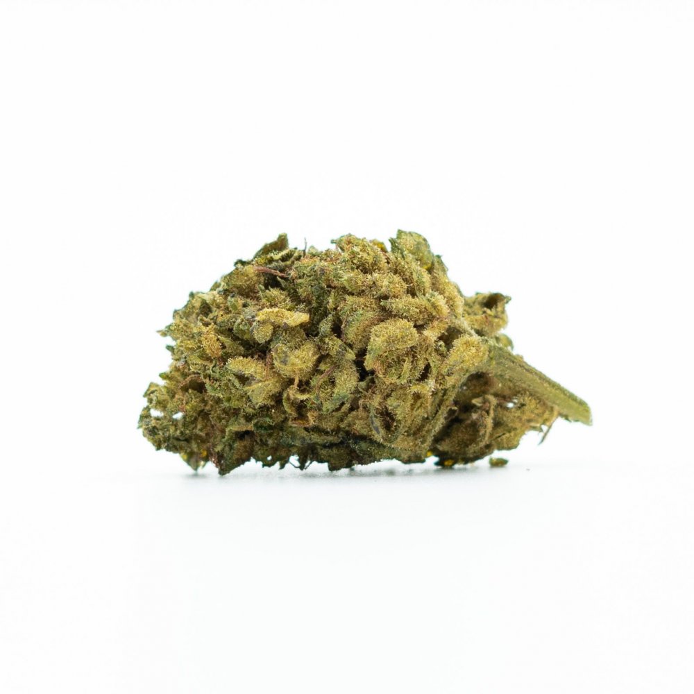 Flor HHC Kush Tropical 10%, 100g - 10 000g / CANATURA ATACADO - Volume ...