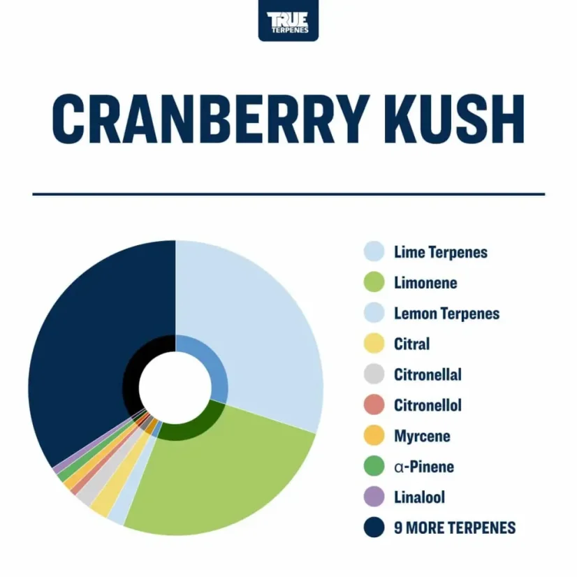 True Terpenes Infusión de sabor a arándano Kush (5 ml - 960 ml)